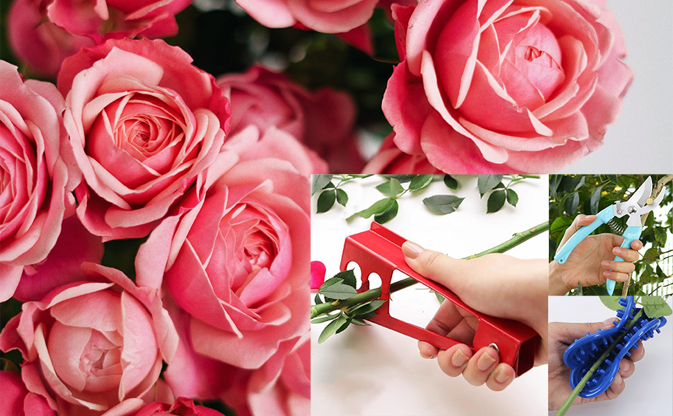 Amazon.com : Flower Rose Thorn Remover Leaf Burrs Pliers Kit Stripper Stripping Tool with ...