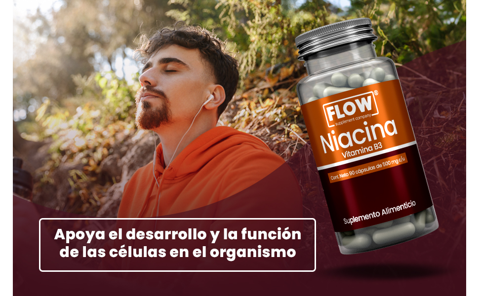 Niacina - Vitamina B3-90 Cápsulas para 3 Meses - Apto Keto - Sin Azúcar ni Gluten - Sin Sabor ...