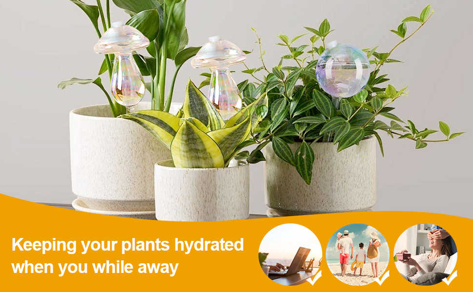 Amazon.com: KiKiHeim 4 Pcs Plant Watering Globes, Top Fill Self Watering Planter Insert Spikes ...