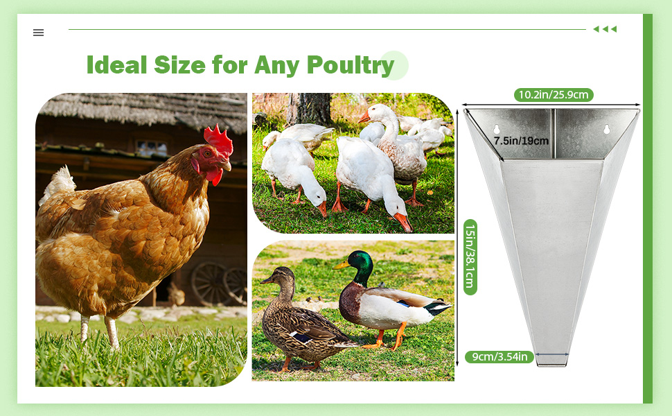 Amazon.com : Mumufy 4 Pcs Medium Galvanized Steel Poultry Restraining Cones Flat Back Funnel ...