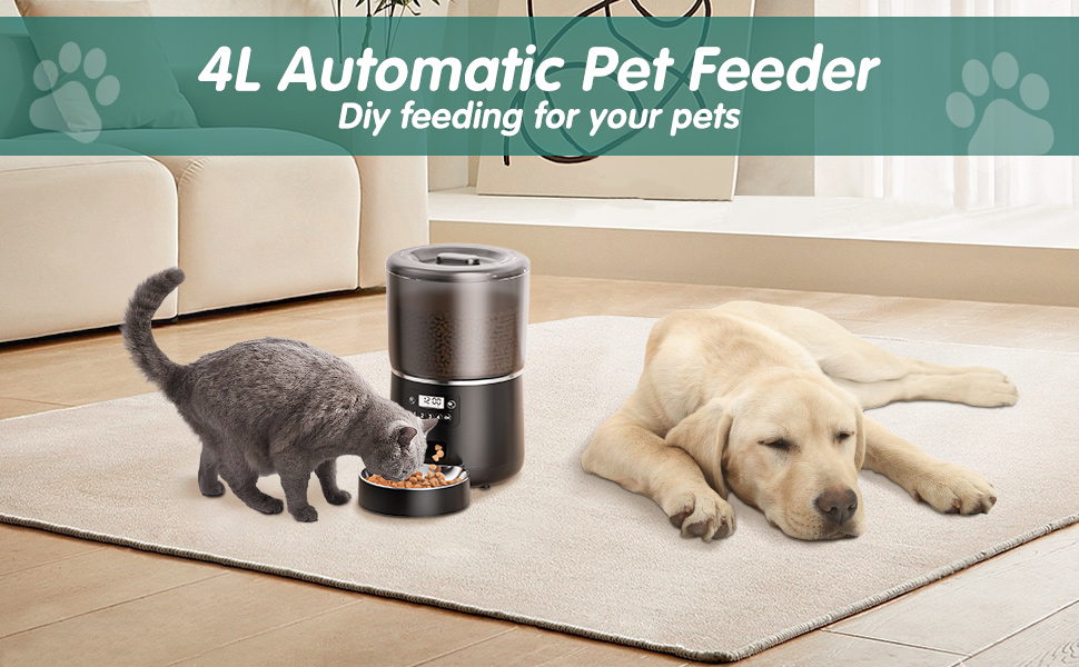 Amazon.com : Automatic Pet Feeder, 4L Pets Food Dispenser for Dry Food, Smart Programmable Dog ...