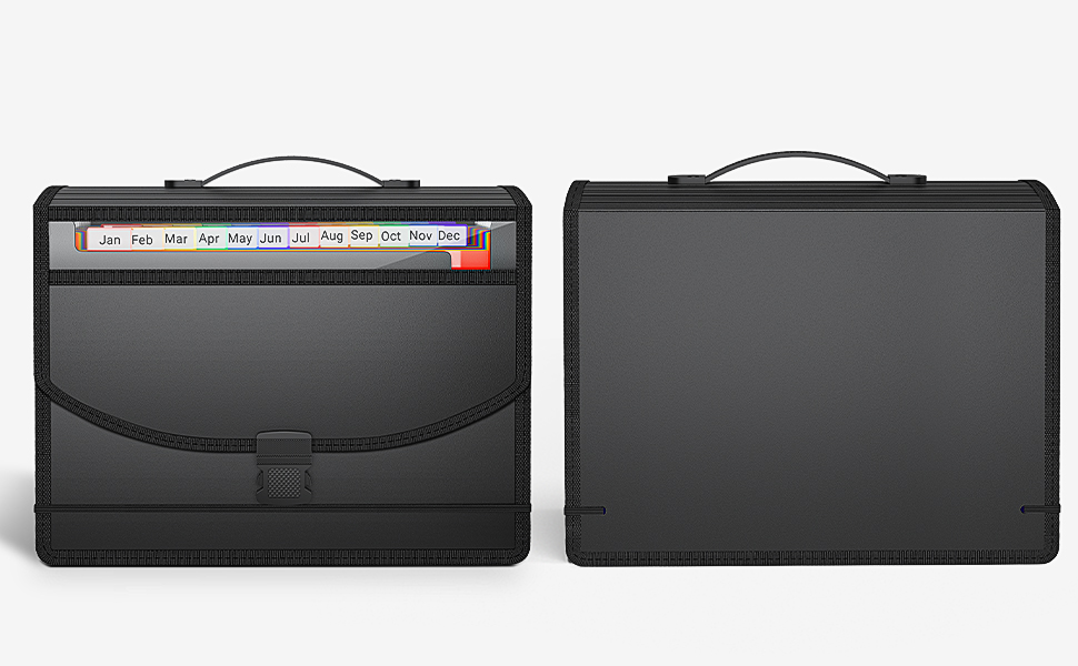 Amazon.com : Vanulee Accordion File Organizer with Handle,13 Pockets Expanding File Folder for ...