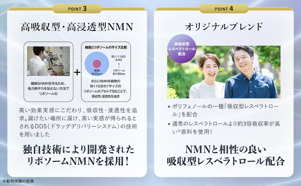 Amazon | SINTO シントー リポソーム NMN 350mg配合 サプリメント 30日分（30包）日本製 | SINTO | B3