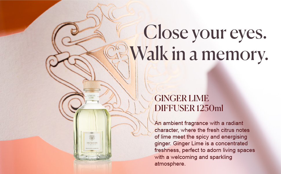 Amazon.com: Dr. Vranjes - Ginger Lime 1250 ml Diffuser + Double Pack of White Sticks (3 Pieces ...