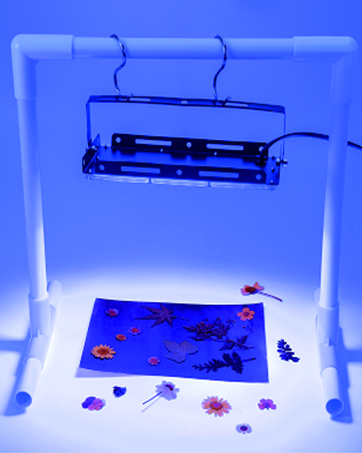 Amazon.com: Csyidio 37 Pieces Cyanotype kit Include 2 Component ...