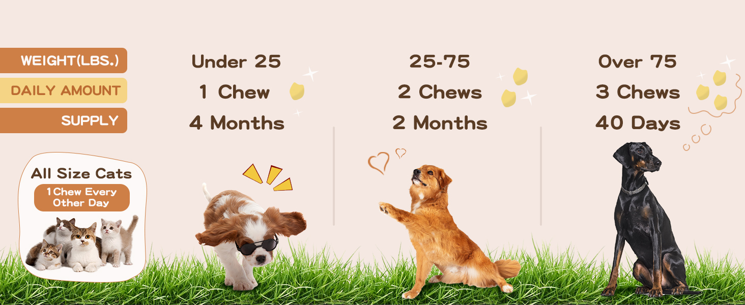 Amazon.com : Dog Multivitamin Chewable with Minerals for Overall Health - Dog Vitamins and ...