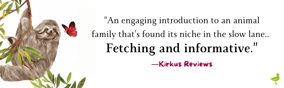 The Upside-Down Book of Sloths: Shreeve, Elizabeth, Grott, Isabella: 9781324015772: Amazon.com ...