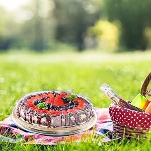 Amazon.com: Tamnjvrr 5 Pcs Disposable Pie Carrier with Clear Lid Round Cake Cupcake Container ...