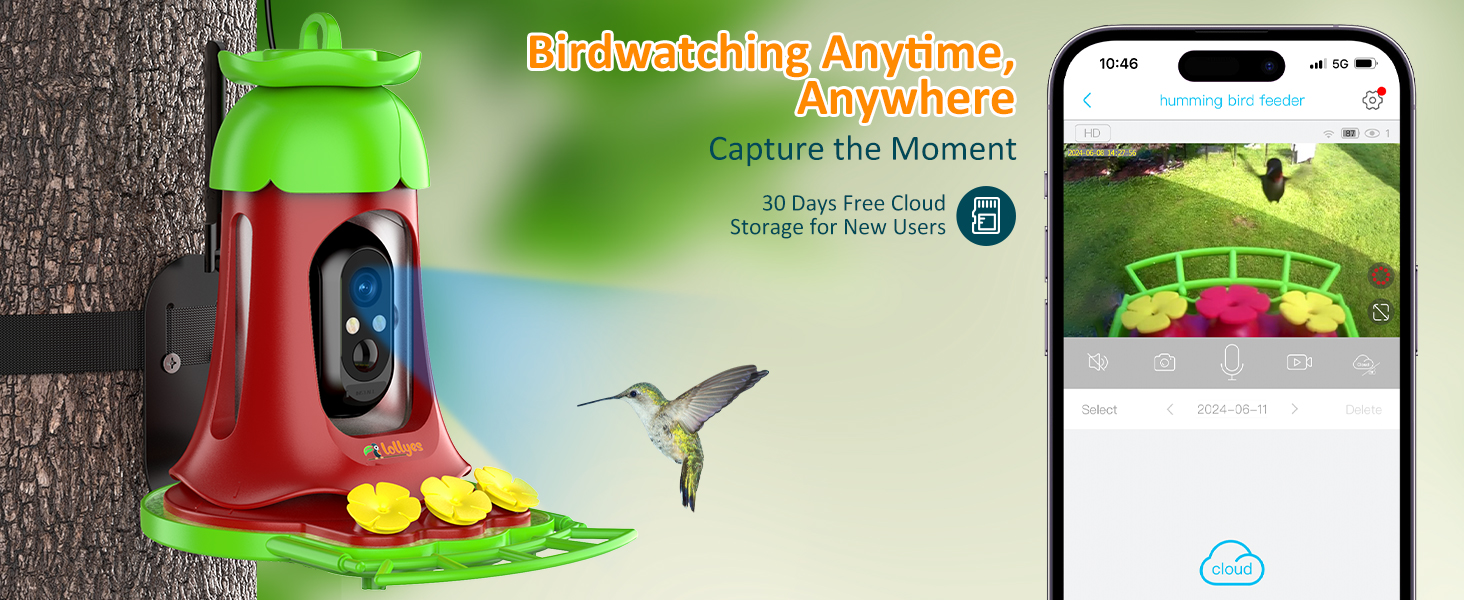 Amazon.com : Lollyes Hummingbird Feeder with Camera, 7W Solar-Powered Smart Bird Feeder Camera ...