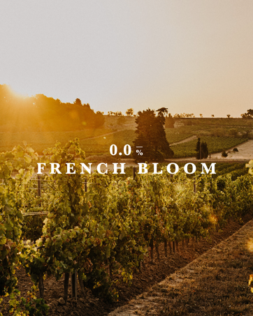 Amazon.com: French Bloom Le Blanc Alcohol-Free Sparkling Wine, 750ml - Certified Organic, Vegan ...