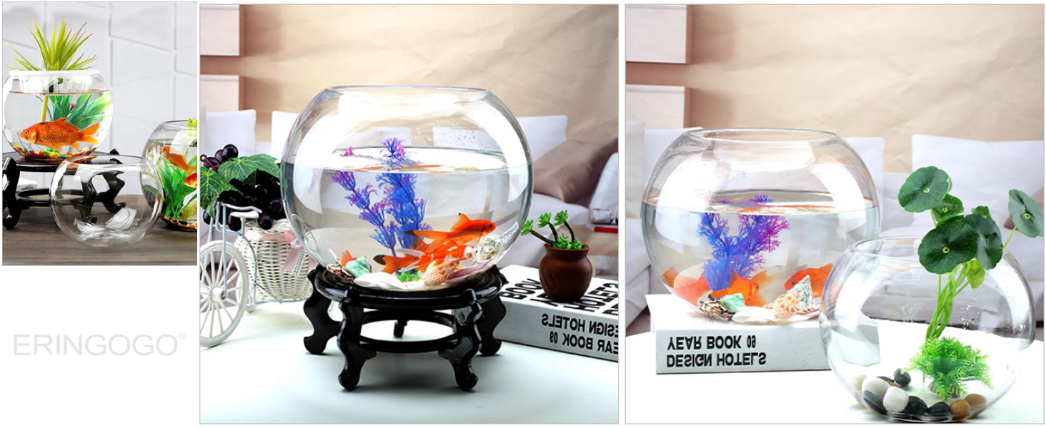 Amazon.com : Round Glass Fish Bowl Clear Desktop Aquarium for Small Fish Hydroponics Decor for ...