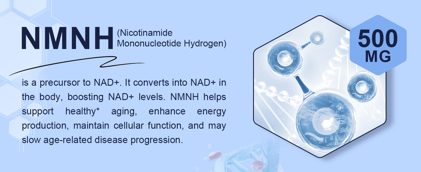 Amazon.com: Totaria NMNH (Dihydronicotinamide Mononucleotide), NMN Supplement Alternative w ...