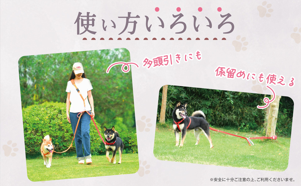 Amazon | [LaLUCA GOODS] 犬 ショルダーリード リード 小型犬 中型犬 大型犬 アドバンスモア ハンズフリー ブルー Cセット Sサイズ | LaLUCA GOODS ...