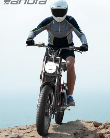 Amazon.com : eAhora Juliet Electric Bike for Adults - 34MPH 2000W 48V 60AH 200Miles Long Range ...