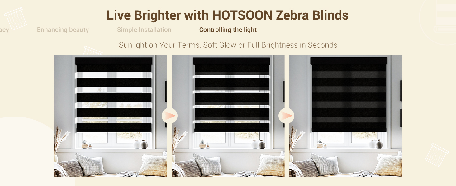Amazon.com: HOTSOON Cordless Zebra Shade with Matched Cassette, Light-Filtering Zebra Blinds for ...
