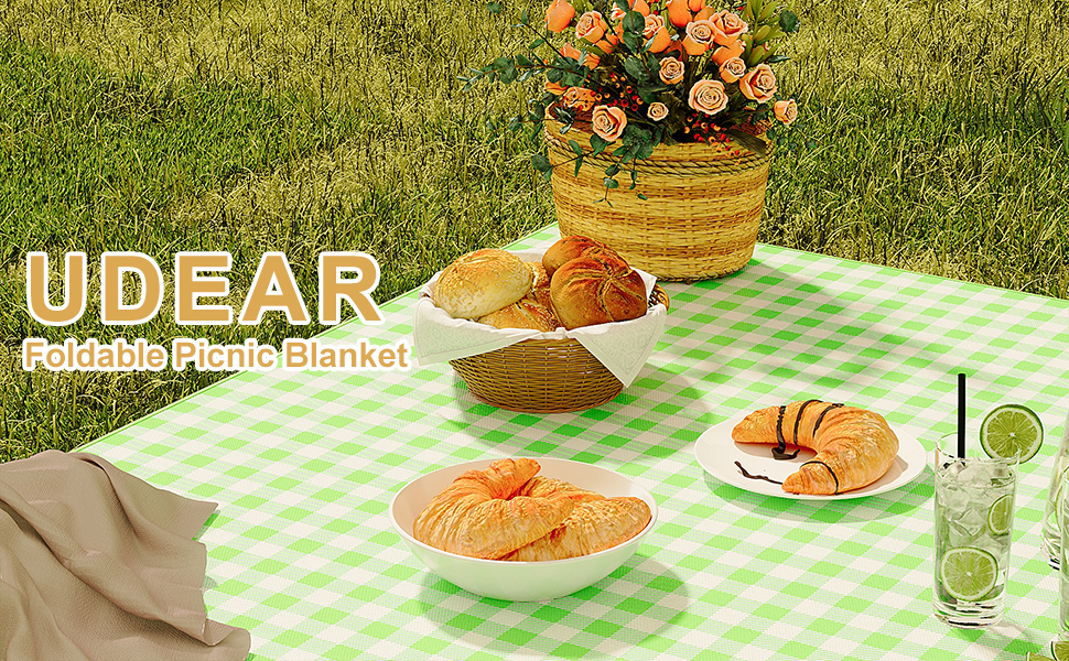 Amazon.com: UDEAR Foldable Picnic Blanket,80"x80" Waterproof, Sandproof, Portable with Tote Bag ...