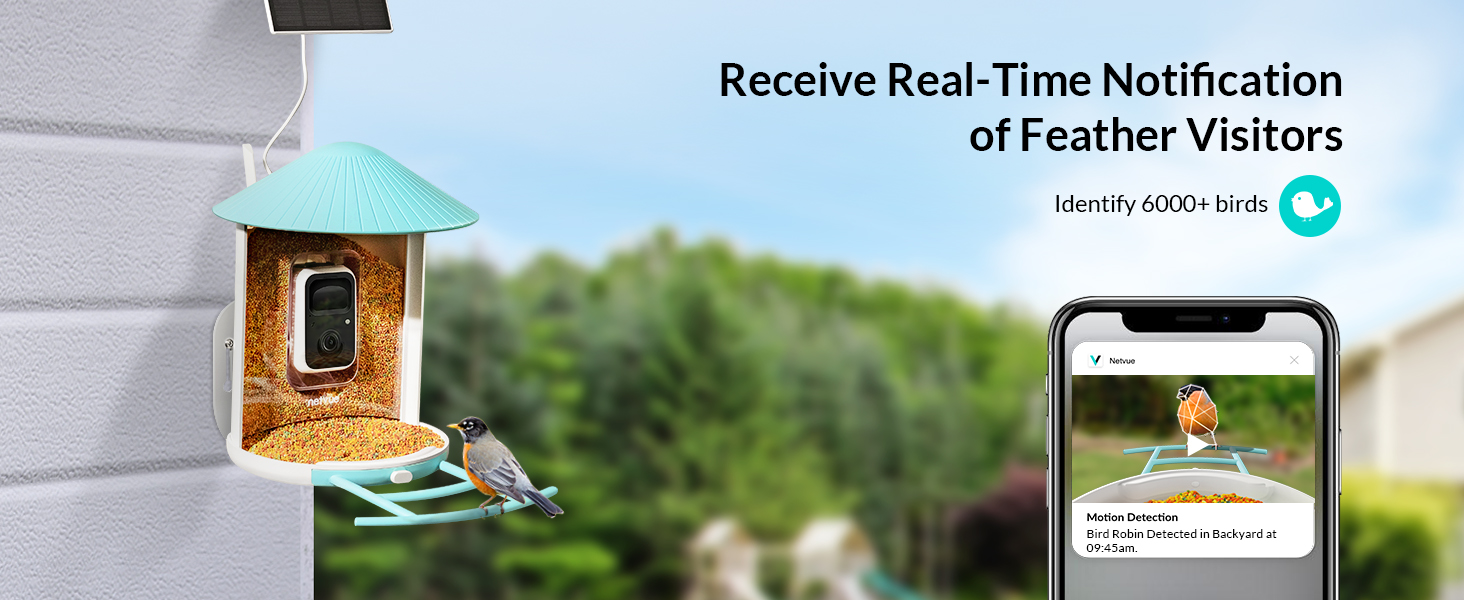 Amazon.com : NETVUE Birdfy AI - Smart Bird Feeder Camera, Bird Watching Camera Auto Capture Bird ...