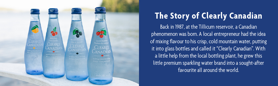 Amazon.com : Clearly Canadian Summer Strawberry Sparkling Spring Water Beverage, Natural ...