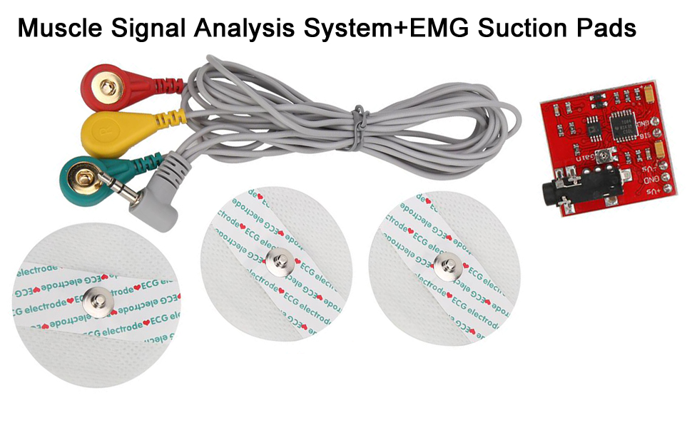 EMG Muscle Sensor, Electromyographic Sensor Muscle Signal Analysis ...