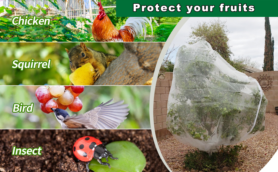 Amazon.com : 8.2x8.2ft Large Tree Netting for Fruit Trees Keep Birds Squirrels Cicadas and Small ...