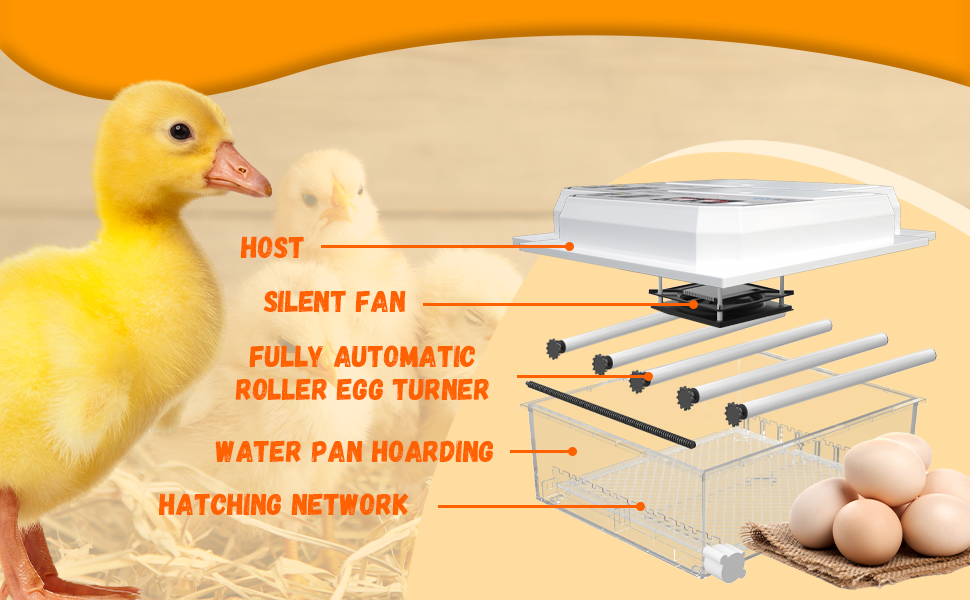 Amazon.com: WRFEICBN 16-Egg Incubator Hatching Eggs 360°Automatic Egg Turning, Temp Auto-Control ...