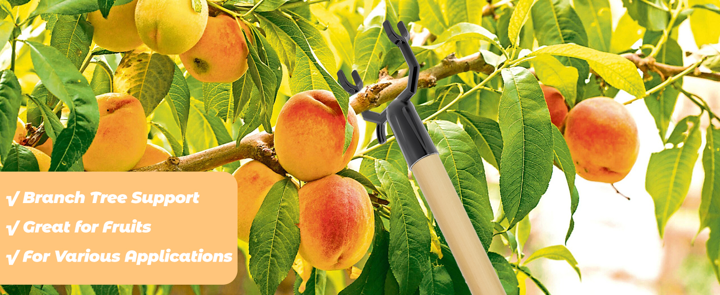 Amazon.com : 8 Pcs Tree Branch Support Metal Tree Crutch Support Device ...