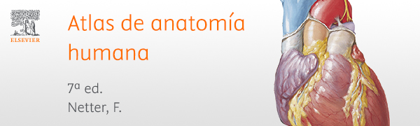 Atlas de anatomía humana - 7ª Edición : Netter, Frank H., DRK EDICION ...