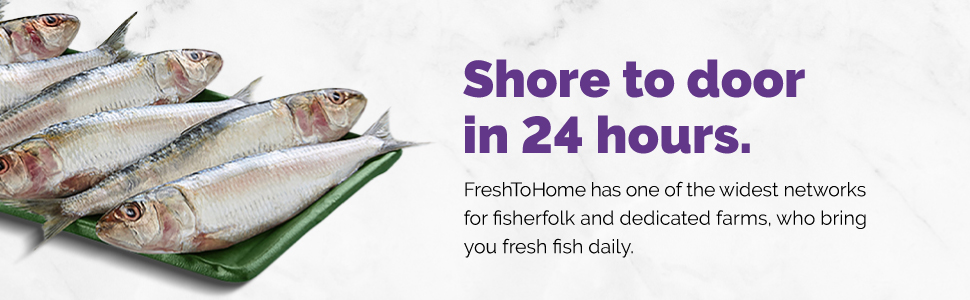 FreshToHome White Sardine/Veloori/Silver Fish/White Fish | Whole | 240g to 250g Pack | Fresh ...