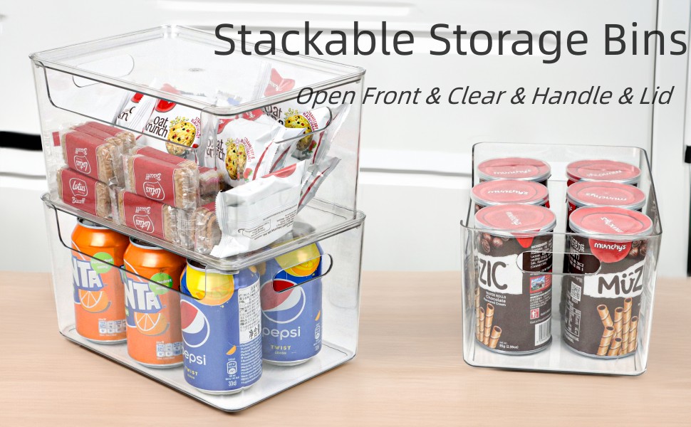 Amazon.com: ZEXALOR Clear Plastic Storage Bin with Lid, Stackable ...