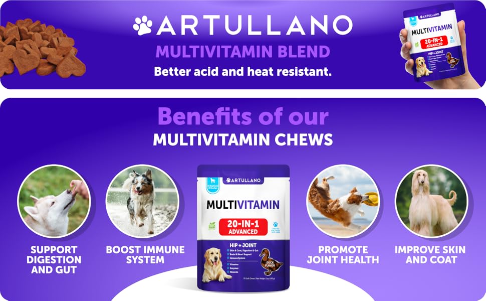 Amazon.com : 20 in 1 Dog Multivitamin with Glucosamine - Chewable Dog Vitamins and Supplements ...