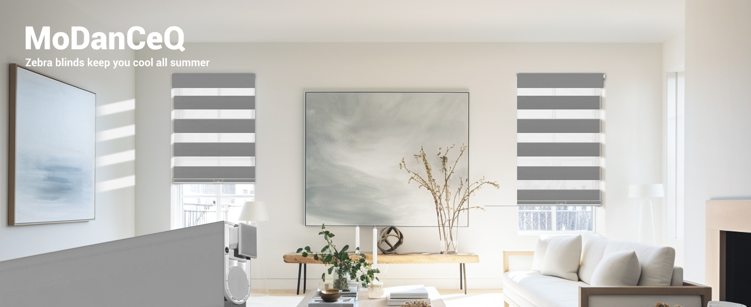 Amazon.com: MoDanCeQ No Drill No Tools Cordless Dual Layer Zebra Blinds, Blackout Zebra Shades ...
