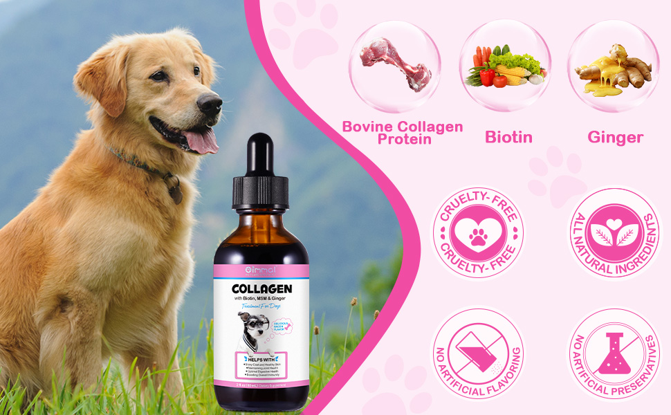 Amazon.com : Collagen for Dogs, Liquid Collagen for Dogs, Dog Liquid Collagen Drops, Collagen ...