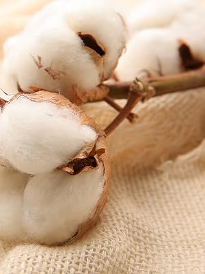 Amazon | YOYOSOFT コットン ふきとり用 丸型 コットンパフ 化粧水用 2面3層構造 300枚(100枚x3個) メイク落とし ネイル落とし 化粧コットン 毛羽立たない スキン ...