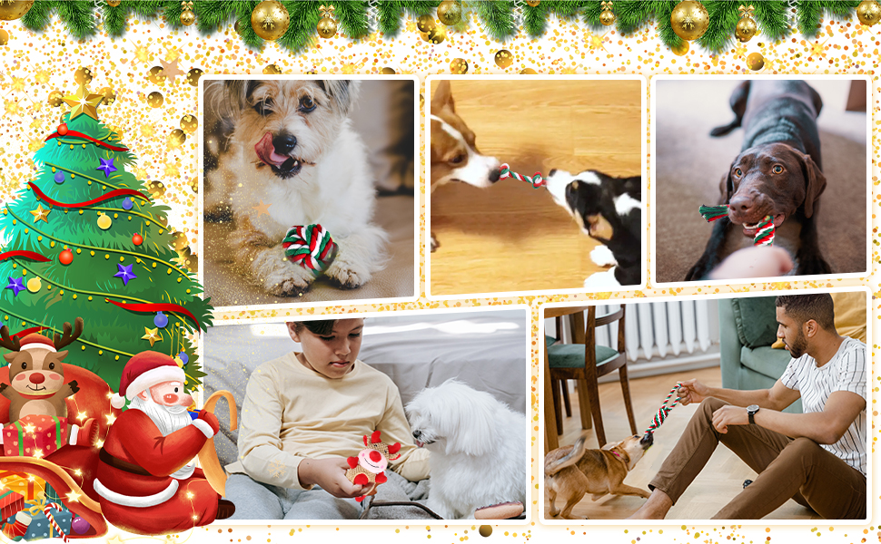 Amazon.com : Pweituoet Christmas Dog Toys, 6 Pack Rope and Plush Toys ...