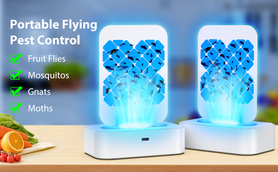 Amazon.com : Fruit Fly Traps for Indoors, Rechargeable Gnat Traps for House Indoor with Night ...