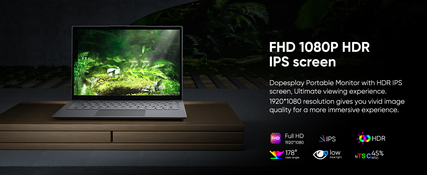 Amazon.com: Portable Monitor with Keyboard, 14.1Inch Lapdock Monitor ...