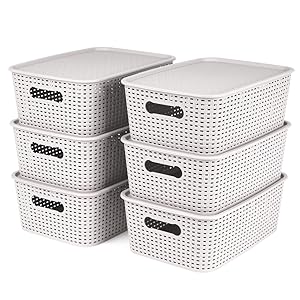 Amazon.com: OLLIC Plastic Bins Large Storage with Lids | Korean ...