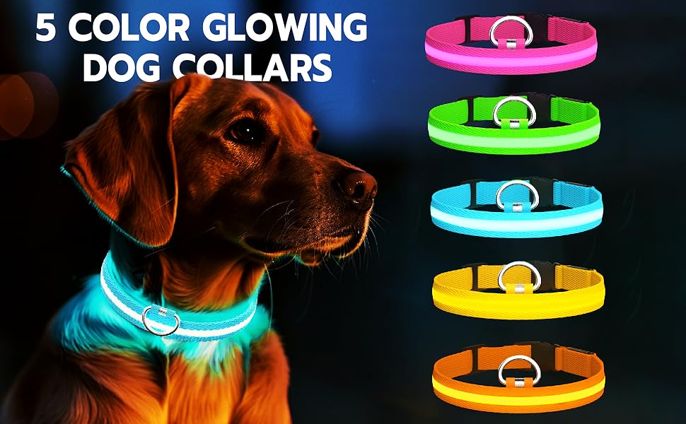 NIYMETOMY Light Up Dog Collar, Blue, Medium, Polyester, Flashing LED, Night Visibility ...