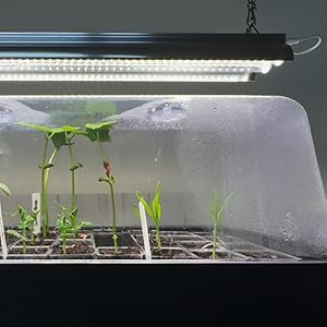 Amazon.com : SOLIGT 1020 Size Seed Starter Kit with Grow Light and Heat Mat - Strong Seed ...