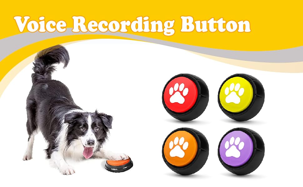 Amazon.com : PetnBeyond Dog Talking Buttons - Communication Starter Pack, 4 PCS Dog Training ...