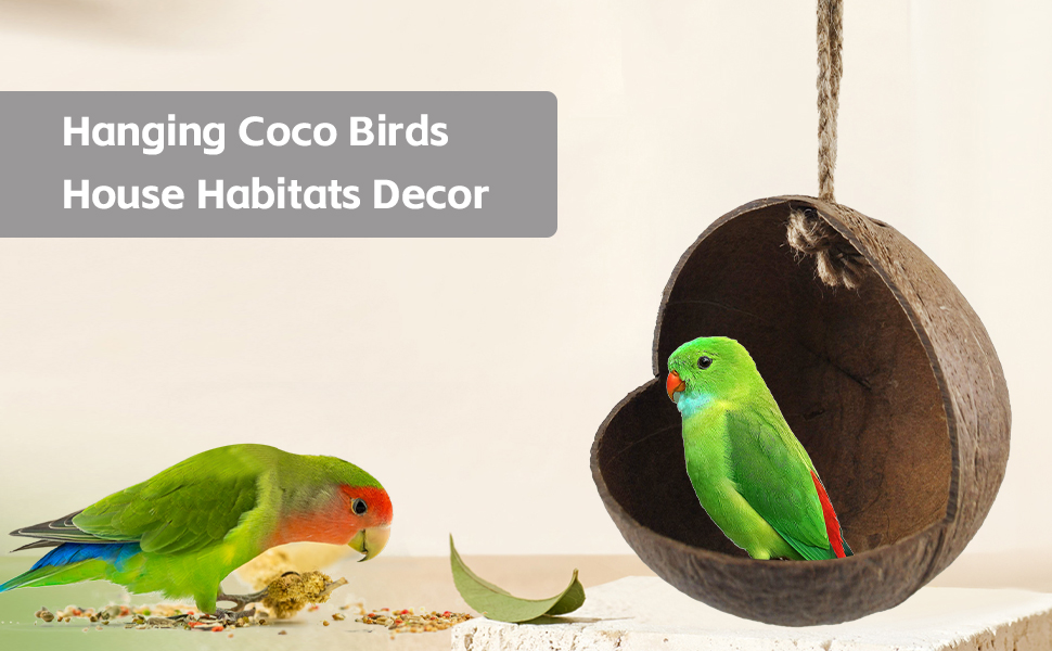 Amazon.com : MUYG Natural Coconut Bird Nest,Hanging Coco Birds House Habitats Decor,Parrots ...