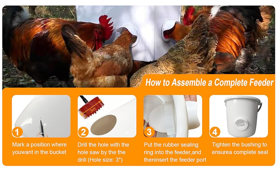 Amazon.com : Diy Chicken Poultry Pro Feeder Port No Waste Mess Cups Kit ...