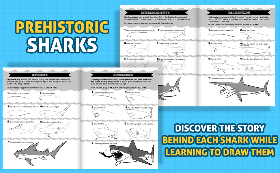 How to Draw Sharks Design your own Shark: Includes prehistoric sharks ...