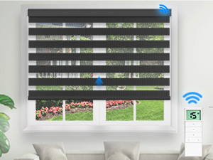 Amazon.com: Tokblind Motorized Zebra Shades with Remote Control, Electric Dual Layer Sheer ...