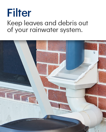 Amazon.com : Rain Harvesting Total Rain All-in-One Leaf Filter and ...