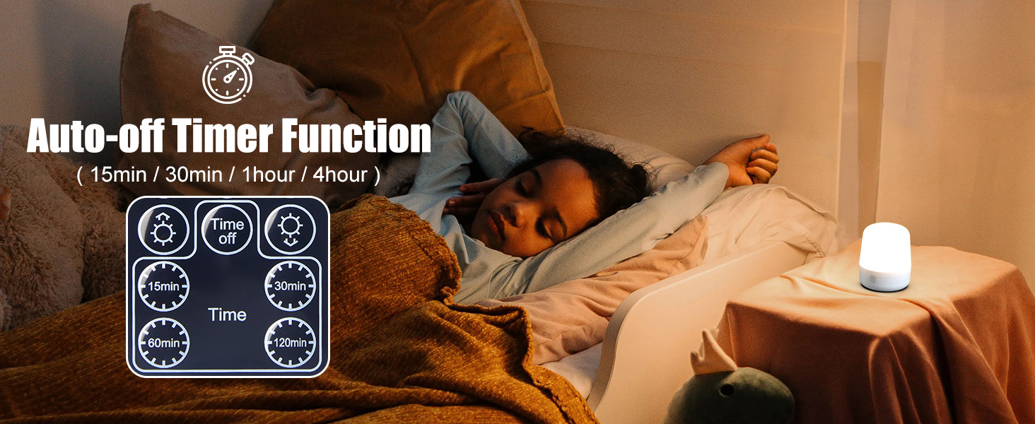 Brightown E26 Rechargeable Light Bulb with Remote and Timer, Battery ...