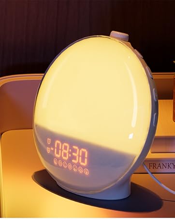 2025 New, 19 Alarms Digital Calendar Clock with Auto DST, DIY Custom ...