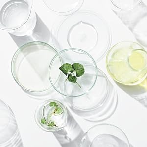 Amazon.co.jp: dr365 V.C. モイストリニューイングローション 化粧水 ビタミンc 毛穴 シカ アミノ酸 敏感肌 保湿 肌荒れ 角質ケア 剥かないピーリング 合成香料 着色 ...