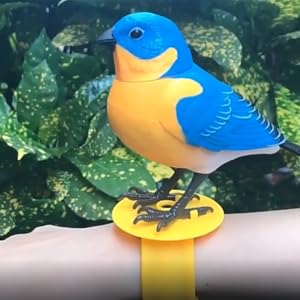 Amazon.com: Electric Singing and Chirping Bird Toy, Cute Interactive Decoration, Motion and ...