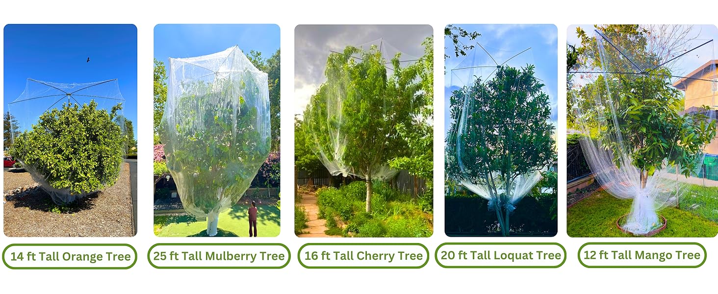 Amazon.com : FiberX Large Fruit Tree Netting Frame Kit, 50x50 FT Bird ...